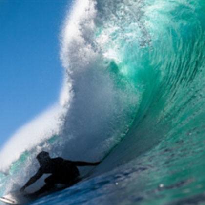 NEWPORT PUNCH | Roark Australia